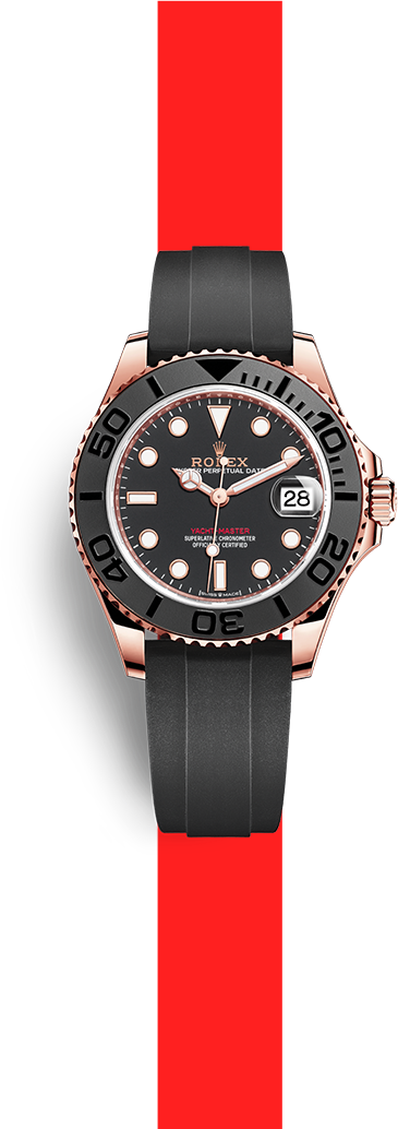 Watch shop | eCommers